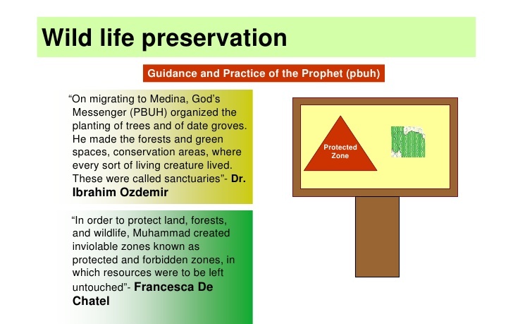 Islam and The Environment – Aal-e-Qutub Aal-e-Syed Abdullah Shah Ghazi