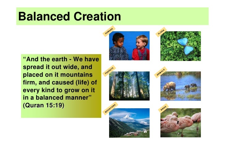 Islam and The Environment – Aal-e-Qutub Aal-e-Syed Abdullah Shah Ghazi