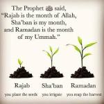 Important Islamic Dates – Aal-e-Qutub Aal-e-Syed Abdullah Shah Ghazi