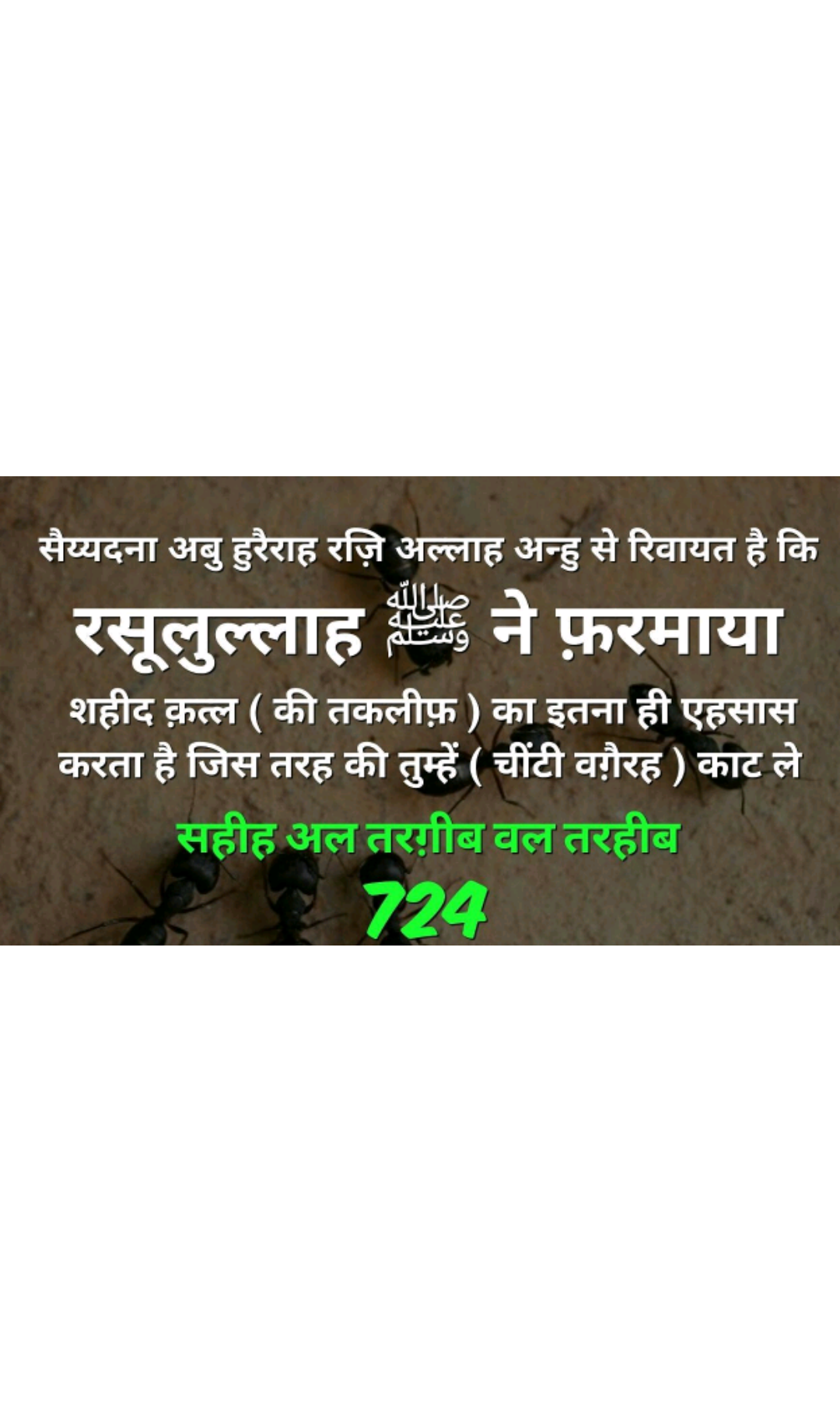 Hadith on Shaheed – Aal-e-Qutub Aal-e-Syed Abdullah Shah Ghazi