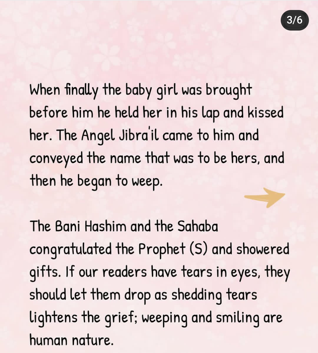 Bibi Zaynab AlaihisSalam is the symbol of sanctity – Aal-e-Qutub Aal-e ...